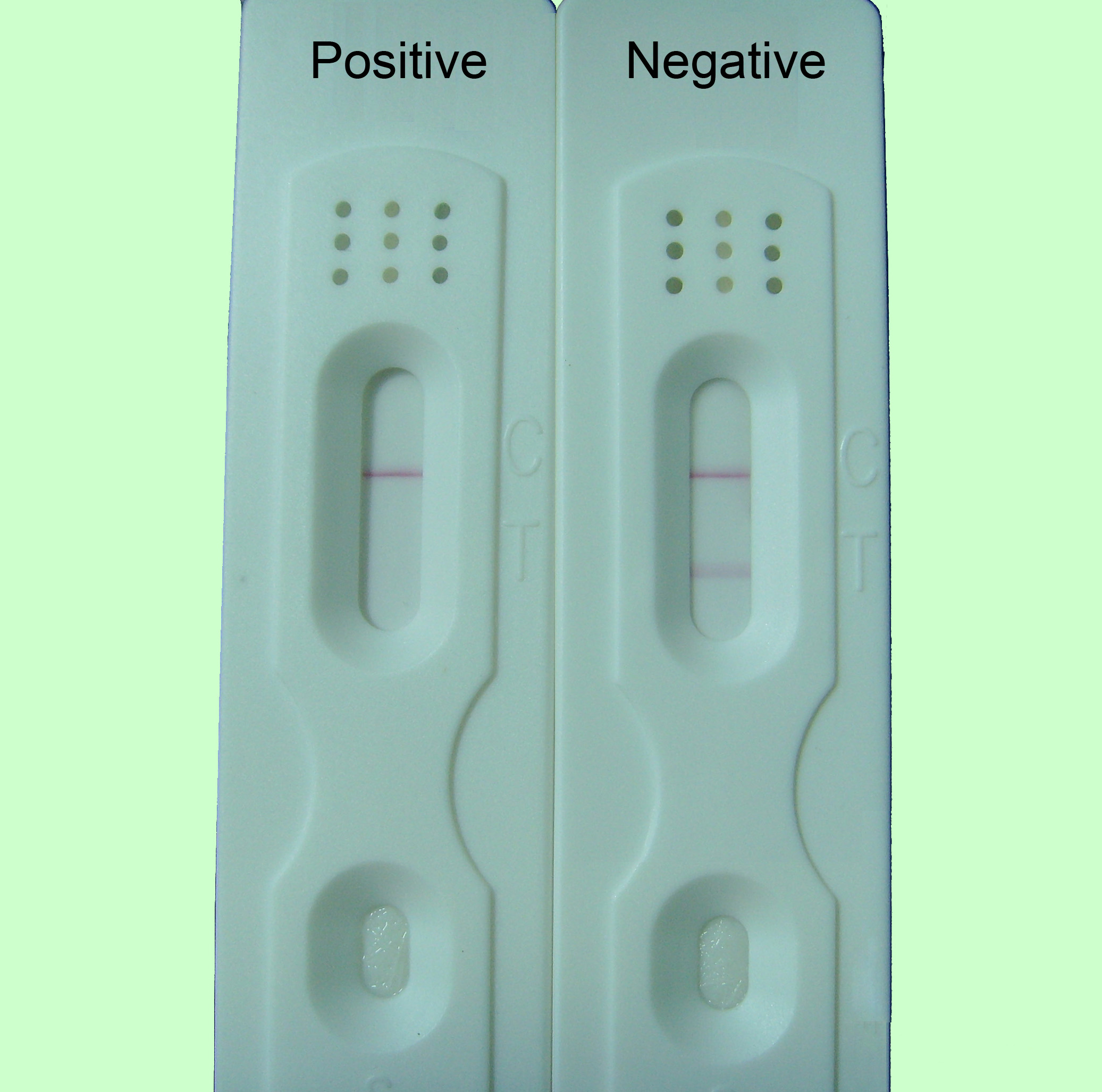 Melamine Test Strip | AccuAffinity, Inc.